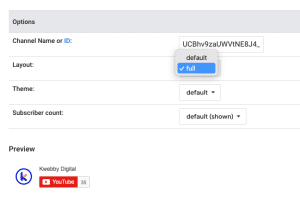 How To Embed Youtube Subscribe Button On Website (2 Awesome Methods ...