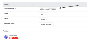 How To Embed Youtube Subscribe Button On Website (2 Awesome Methods ...