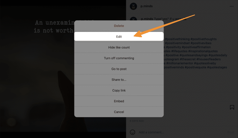 Does Alt Text On Instagram Help SEO? Read Why Its Powerful In 2025 | Kwebby